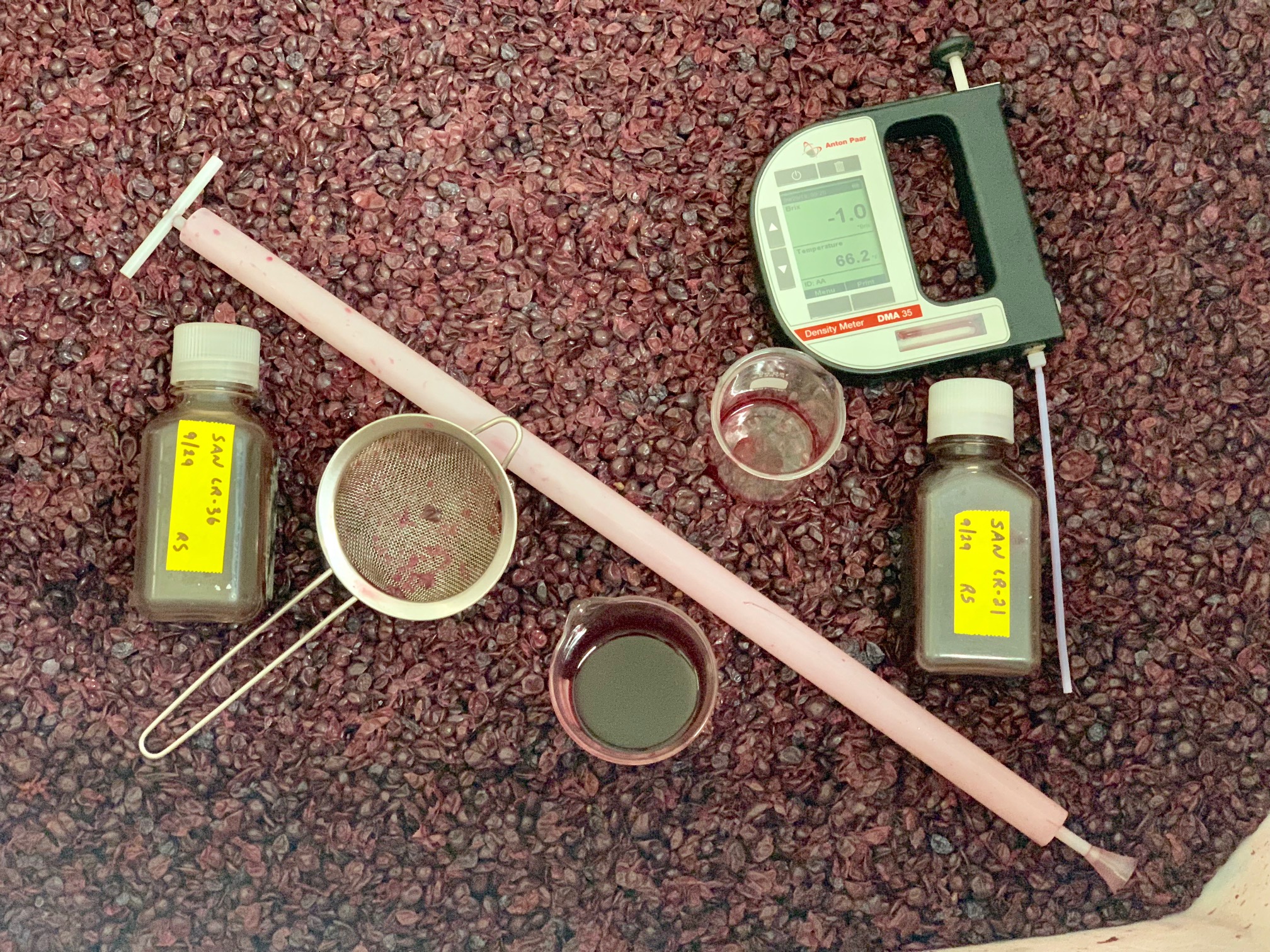 The Morning Tool Chest - Steven Kent Mirassou